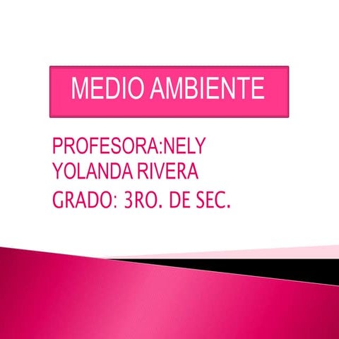 Diapositivas del medio ambient3ro | PPTX