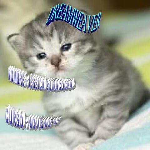 Diapositivas dreamweaver | ODP