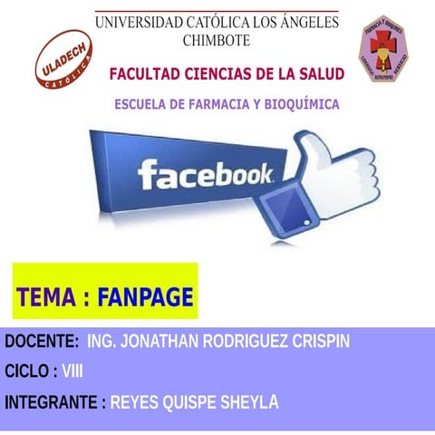 Diapositivas fanpage | PDF