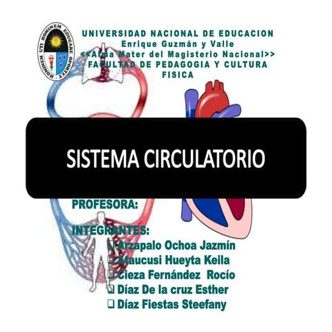 sistema circulatorio | PPTX