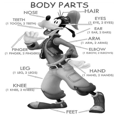 Diapositivas lesson plan adjetives 2 | PPTX