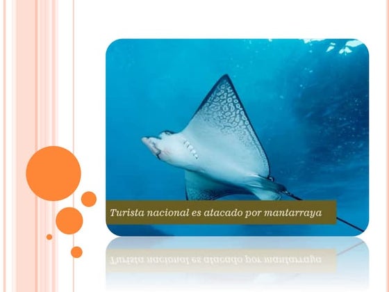 certificate of nomination from DAV_1 | PDF