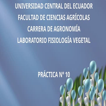DIAPOSITIVAS N° 10 GUTACIÓN_PRESENTACIÓN | PPTX