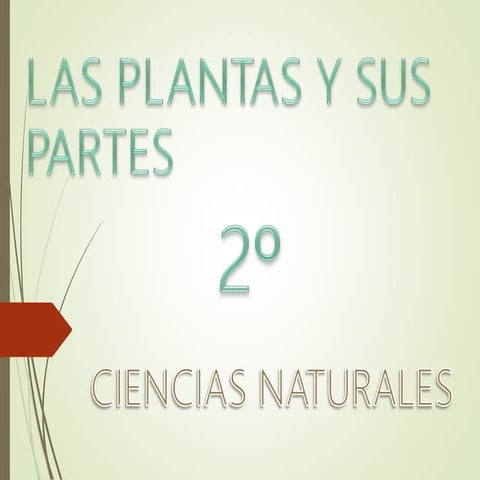Las plantas y sus partes | PPTX