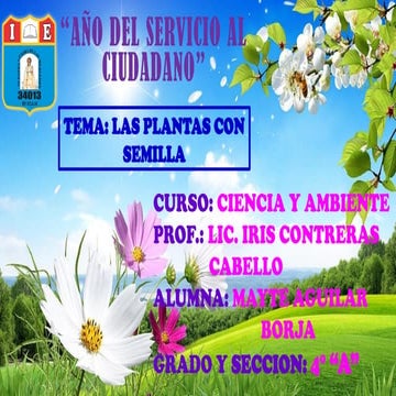 DIAPOSITIVAS DE PLANTAS CON SEMILLA.pptx