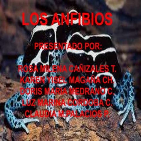 PresentacióN Anfibios | PPT