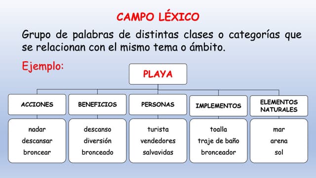 CAMPOS LÉXICOS – CEIP Constitucion 4º primaria