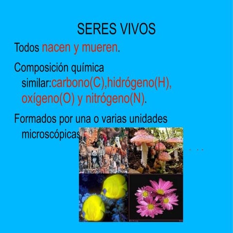 PRESENTACIÓN DIAPOSITIVA DE LOS SERES VIVOS | PPTX