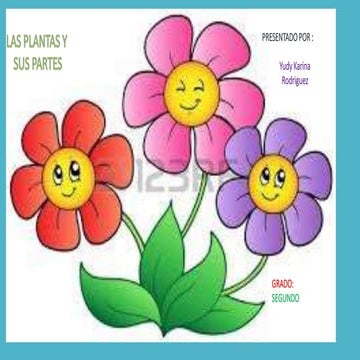 DIAPOSITIVAS PARTES DE LAS PLANTAS | PPT