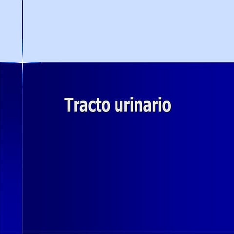 BACTERIAS , PARASITOS Y LEVADURAS EN LA ORINA | DOCX