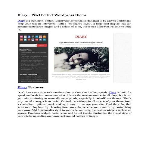 Diary - Pixel Perfect Wordpress Theme | PDF