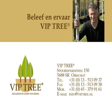 VIP TREE | PPT