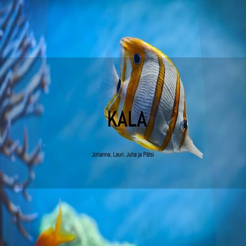 Diashou kalasta! | PPT