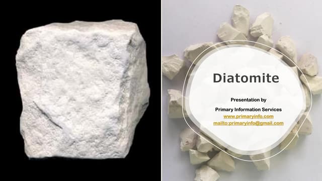 Diatomite Sedimentary Rock