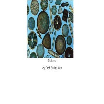DIATOMS (2).pptx