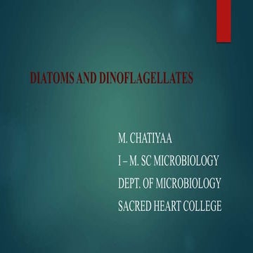 DIATOMS AND DINOFLAGELLATES (CLASSIFICATION, ECOLOGY, APPLICATIONS)pptx ...