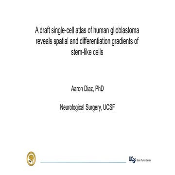 A Draft Single Cell Atlas Of Human Glioma Ppt