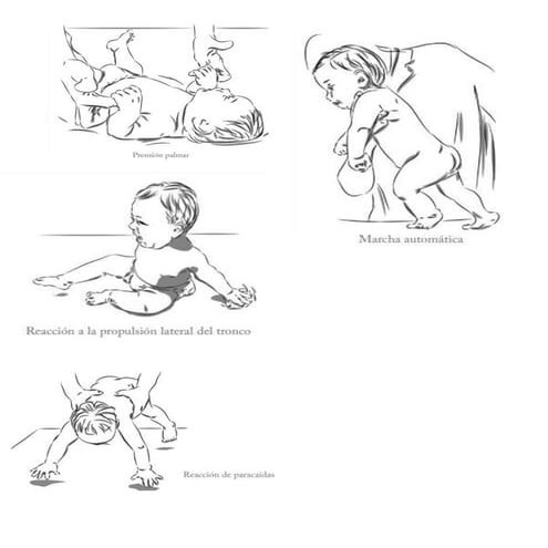 Dibujos de reflejos | DOCX