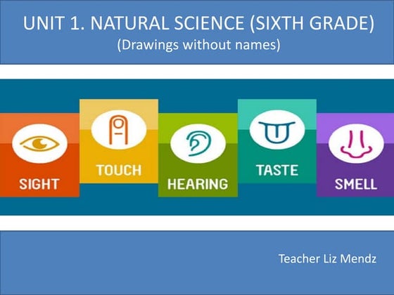 Natural science example exam | PDF