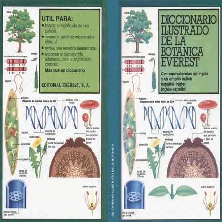 Diccionario.ilustrado.de.la.botanica | PDF