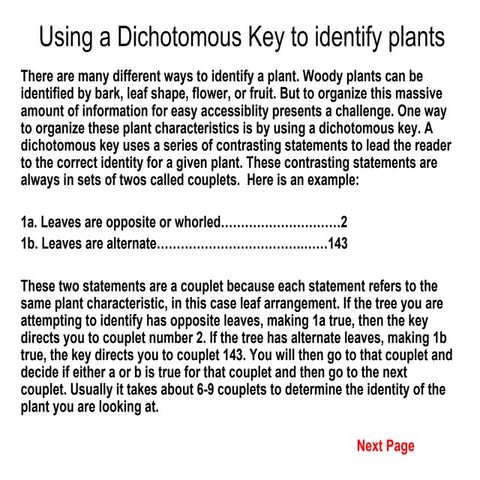 Dichotomous Key 1 | PPS