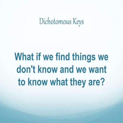 Student exploration dichotomous keys (answer key) | PDF