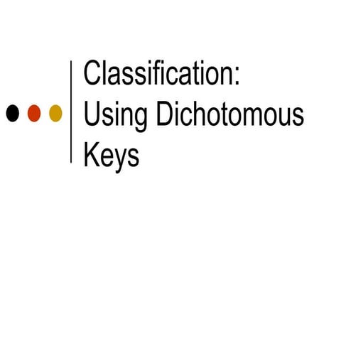 Student exploration dichotomous keys (answer key) | PDF