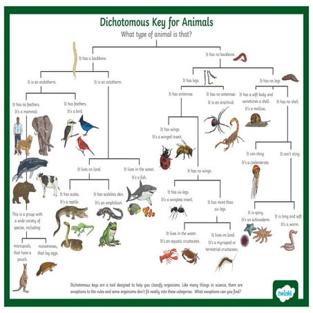 Dichotomous Key for Animals BIOLOGY YEAR 7 A3.pdf