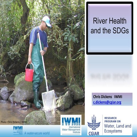 River Health and the SDGs | PDF