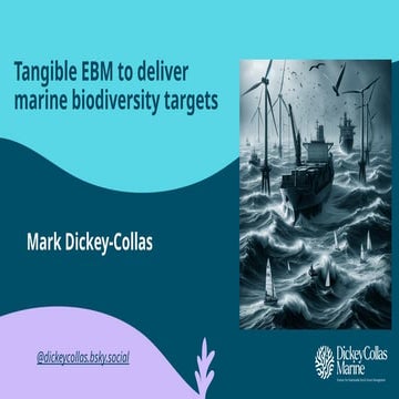 Space to fish: conservation, production & restoration in marine space ...