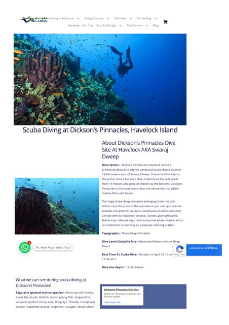 Explore The Best Deep Sea Scuba Diving on Havelock Island | PDF