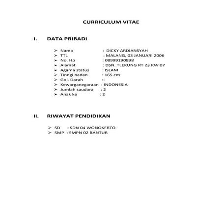 Dicky ardiansyah curriculum vitae | PDF