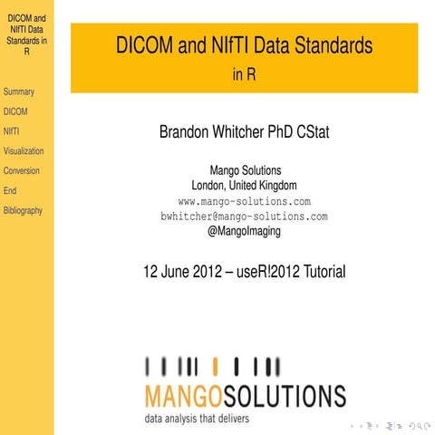 Using DICOM and NIfTI in R | PDF | Graphics Software | Computer Software and Applications
