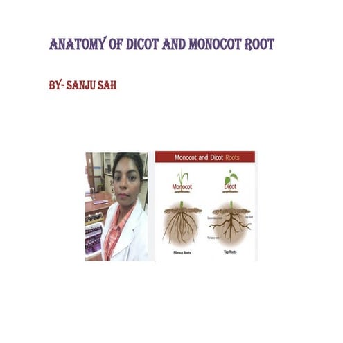 Anatomy of dicot and monocot root,stem and leaf (2).pdf