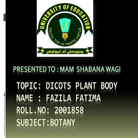Dicots.pptx