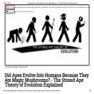 What is the Stoned Ape Theory of Evolution? | PDF