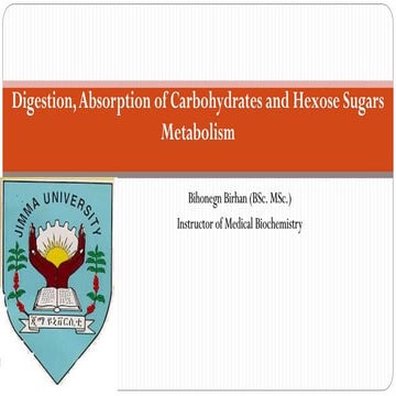 Diegestion Absorption of CHO and Hexose sugar metabolism.pdf