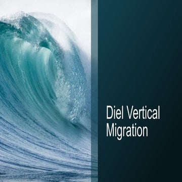 Diel vertical migration | PPTX