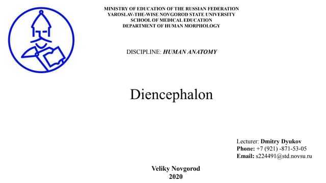 Diencephalon | PPT