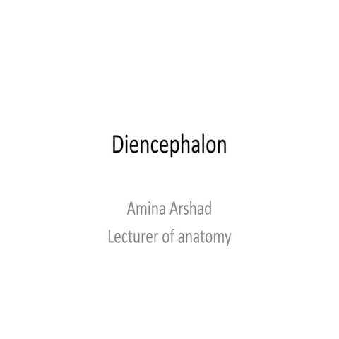 Diencephalon is the part of human brain and provide information to ...