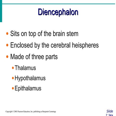 Diencephalon | PPT