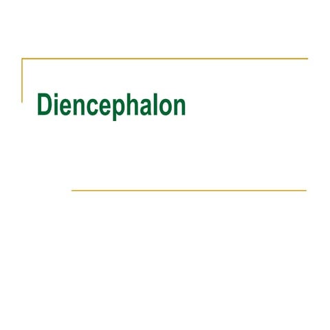 anatomy and function of diencephalon.ppt