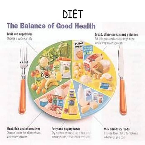 Diet | PPT