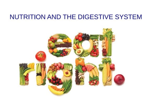 Digestive System Grade 4 igcse easy notes ppt | PPT | Nutrition ...