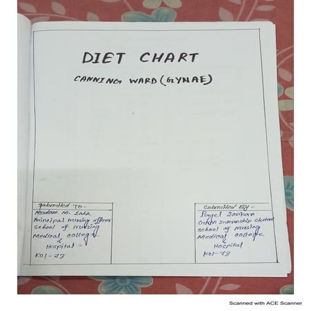 diet chart.pdf | Nutrition | Healthy Living