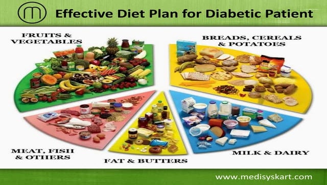 Pureed Diet Handout | PDF