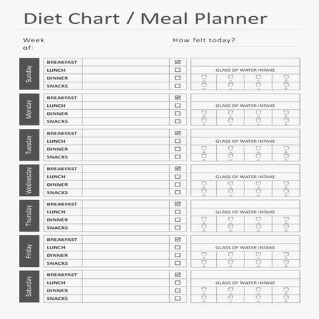 MS Word Diet Planner | DOCX