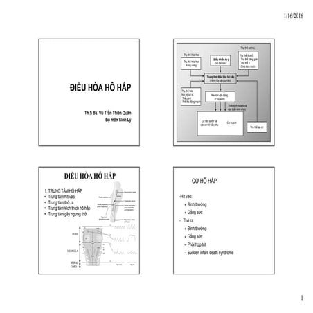 Dieu Hoa Ho Hap 12222222222222222015.pdf