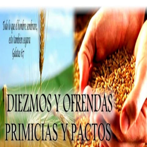 LAS PRIMICIAS | PPTX