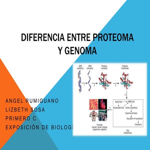Diferencia entre proteoma y genoma- Lizbeth Sosa | PPTX